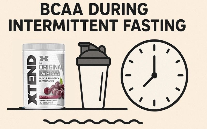 BCAA During Intermittent Fasting: Muscle & Fat Loss Guide