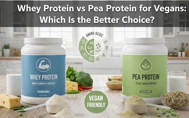 Whey Protein vs Pea Protein for Vegans: Honest Guide